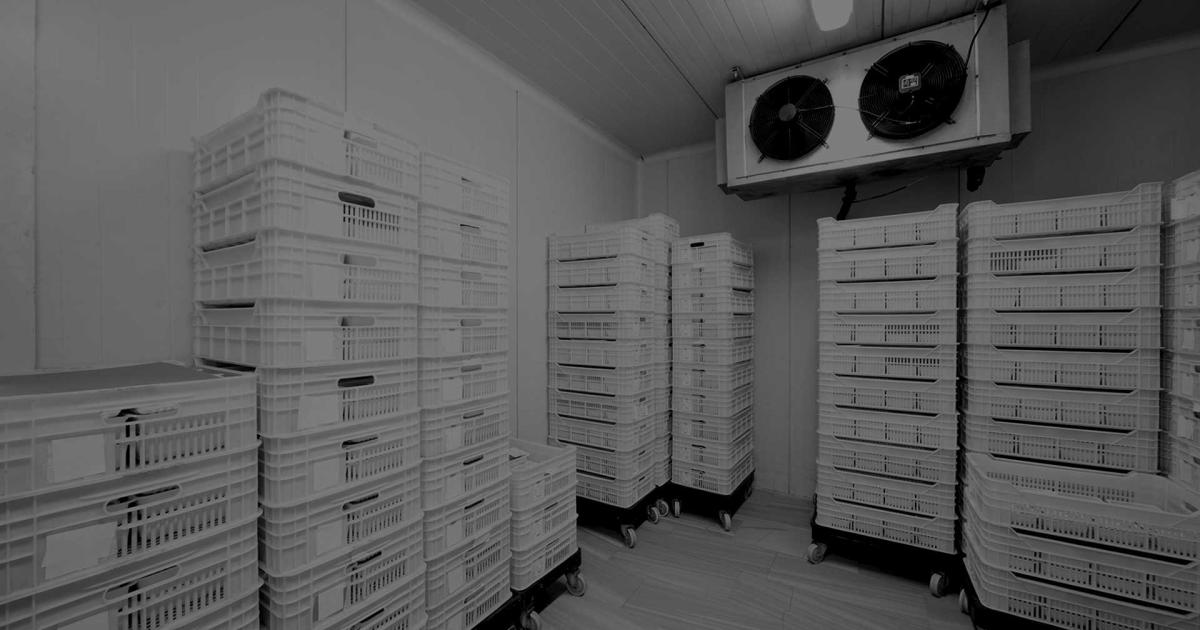 Cold Rooms: Custom Conditioned Storage Spaces